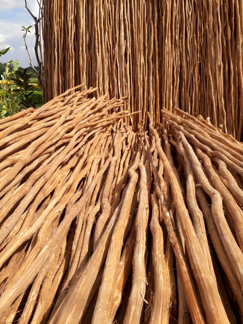 Jual Kayu Galam Banjarmasin